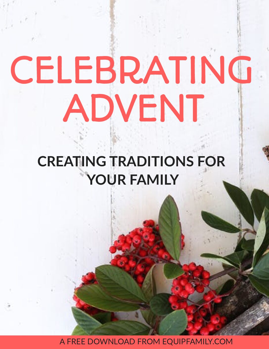 Celebrating Bible Bundle | Equip Family